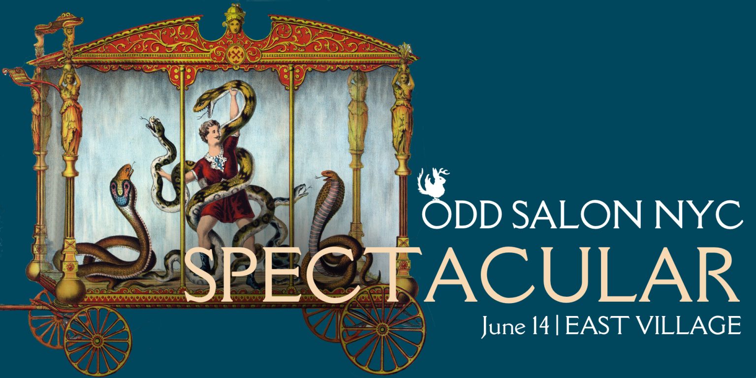 ODD SALON ~ Learn Something Weird